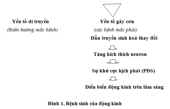 Chẩn đoán và điều trị bệnh Động kinh - Yte123.com